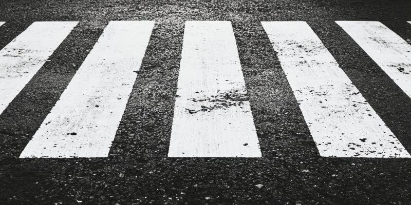 Symmetrical Pedestrian Crosswalk on Rough Asphalt in High-contrast ...