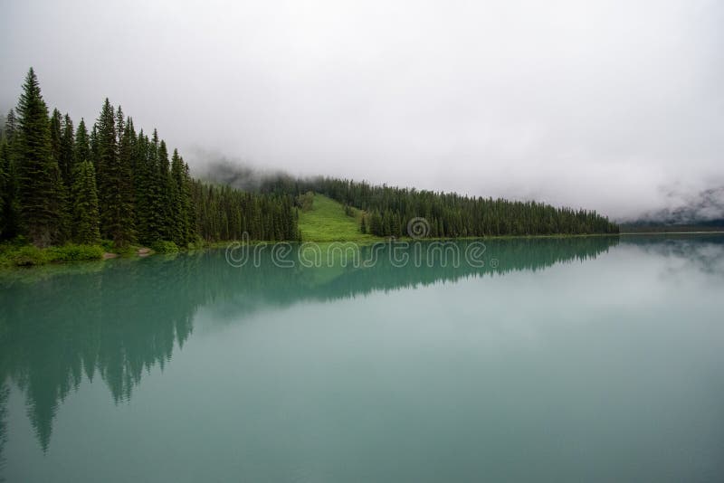 Symmetrical Picture of the Trees Reflected on the Surface of Emerald ...