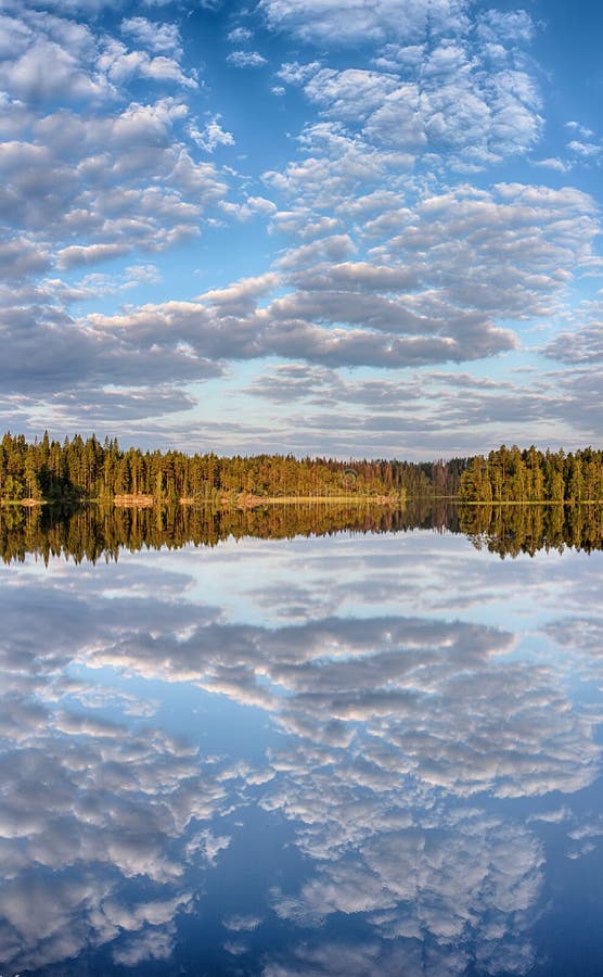 Symmetrical reflection stock image. Image of tree, vacations - 46404309