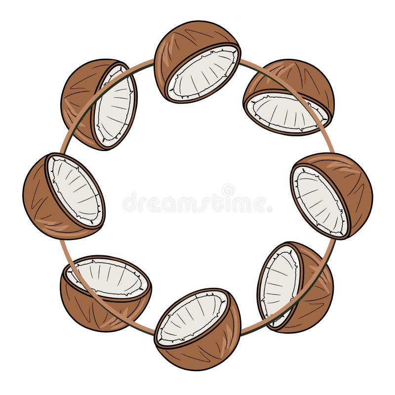 Symmetrical Round Frame, Brown Coconut Halves, Copy Space, Vector ...