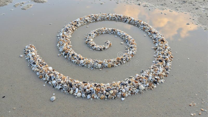 Symmetrical Seashell Spiral on Wet Beach Sand Under Amber Sky ...