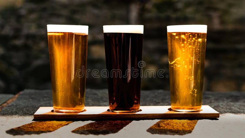 Three Beers in the Sun stock photo. Image of refreshing - 137224814