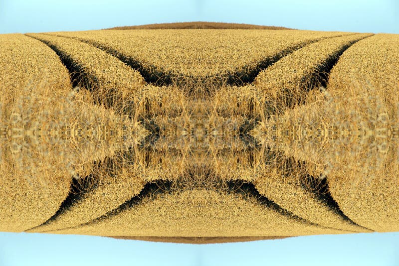 Symmetry effect in a field stock photo. Image of field - 234767140