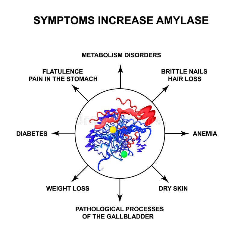 Enzyme function synthesis stock vector. Illustration of amino - 136484495