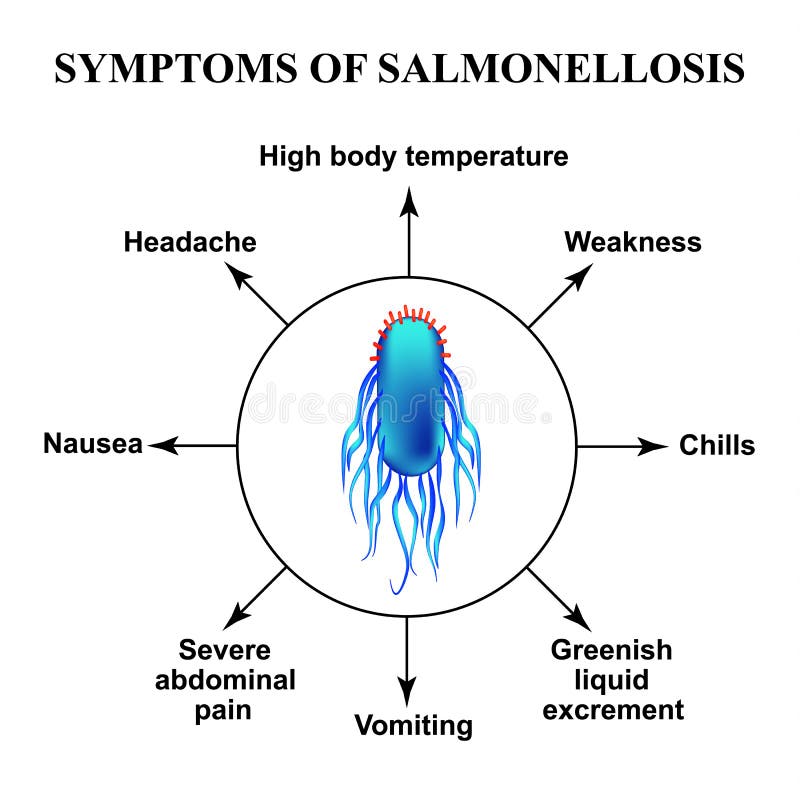 Salmonella Symptoms Vomiting