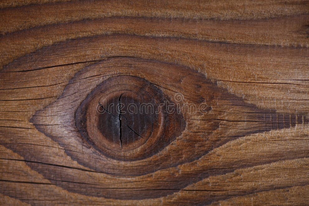 Syna arkivfoto. Bild av begrepp, knothole, symbol, trä - 40894402