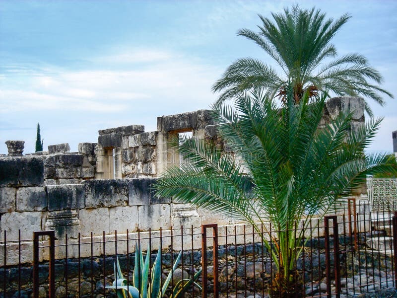 The Synagogue Columns at Capernaum, Galilee, Israel Stock Image - Image ...