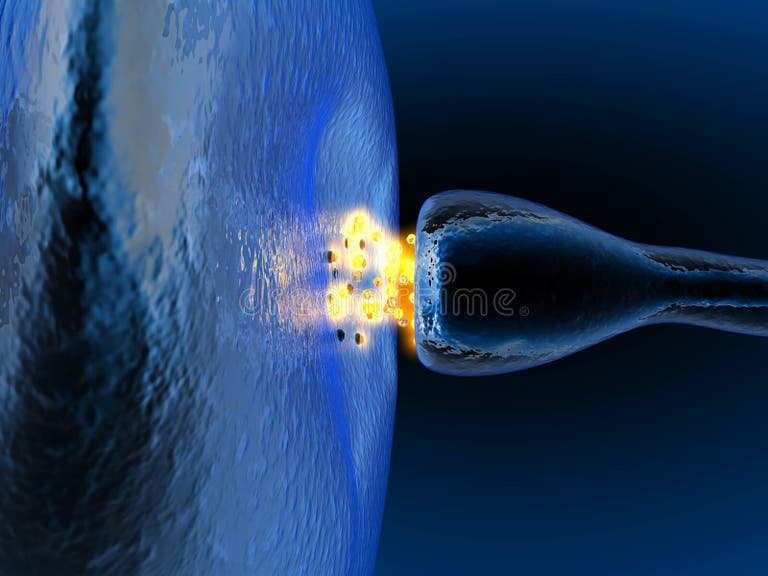 Synapse Memory Stock Illustrations – 1,437 Synapse Memory Stock ...