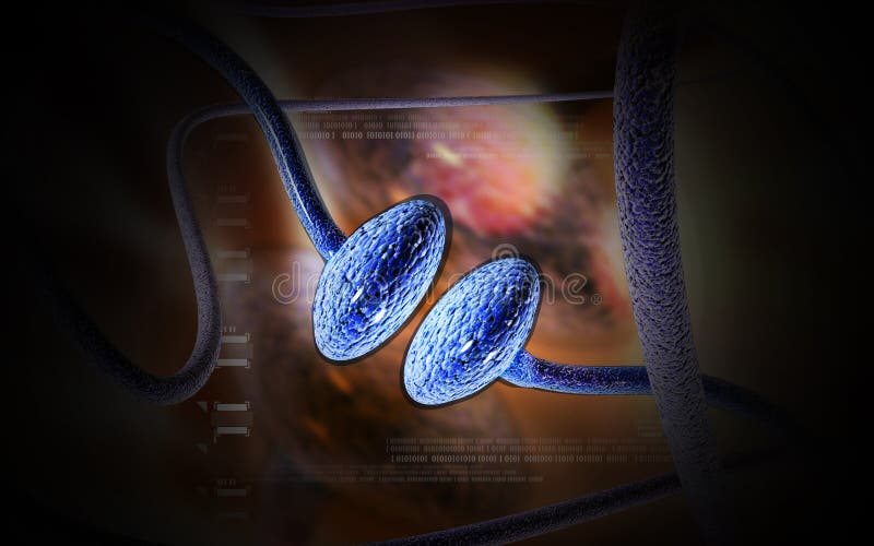 Synapse stock photo. Image of nucleus, organism, human - 47074404