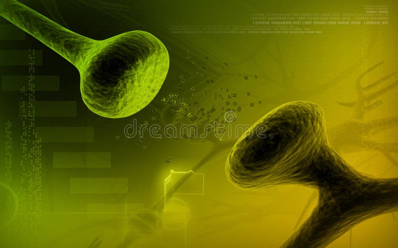 Synapse stock illustration. Illustration of nucleus, blue - 53825267
