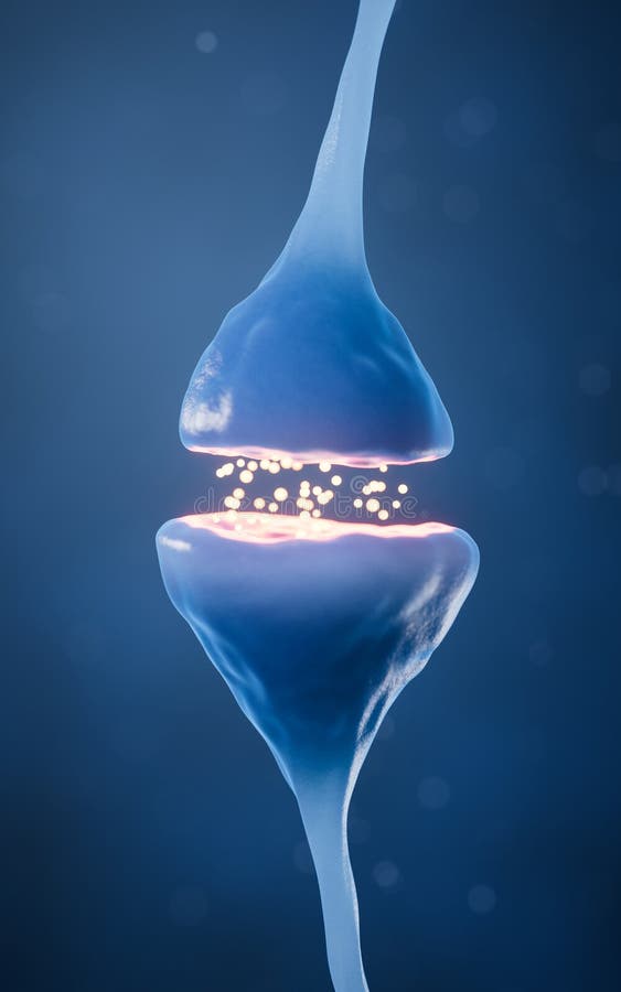 Synapse of Neuron Cell, Biology Concept, 3d Rendering Stock ...