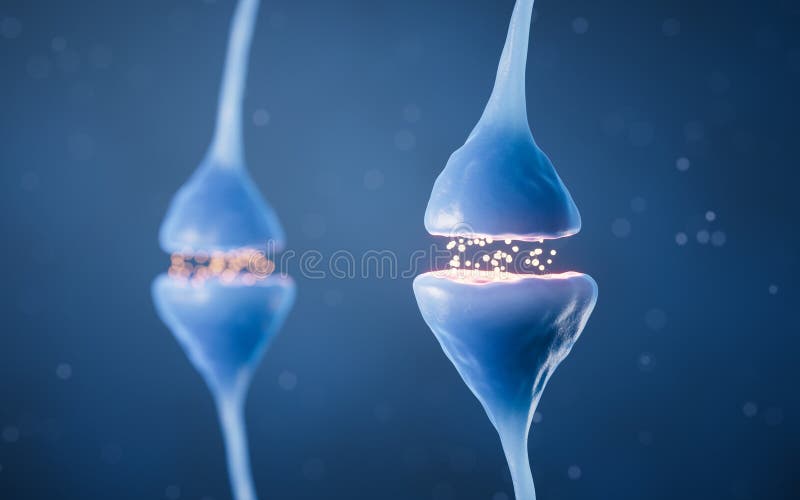 Synapse of Neuron Cell, Biology Concept, 3d Rendering Stock ...