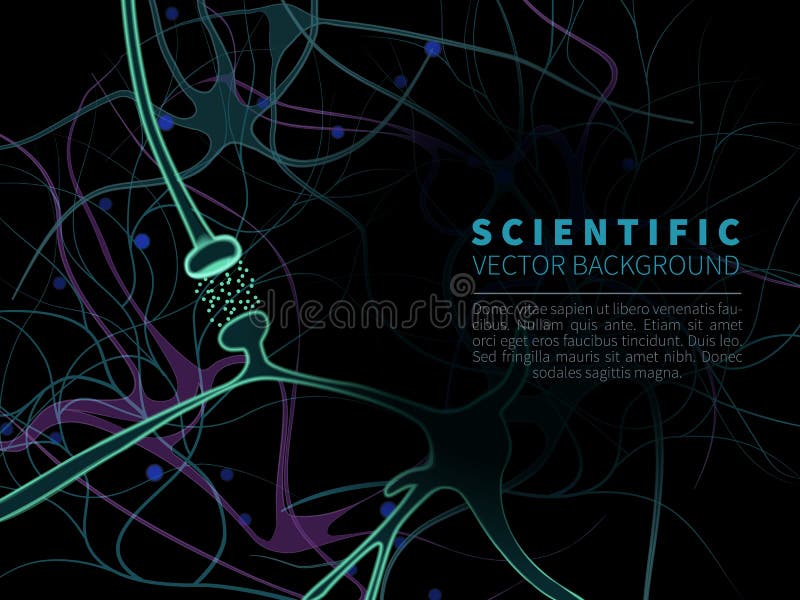 Model of neural system stock illustration. Illustration of impulse ...