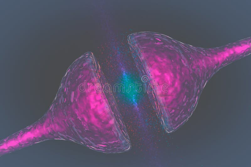 Synapse between Two Neurons Neural Synapse Receptors Neuron Link Neural ...