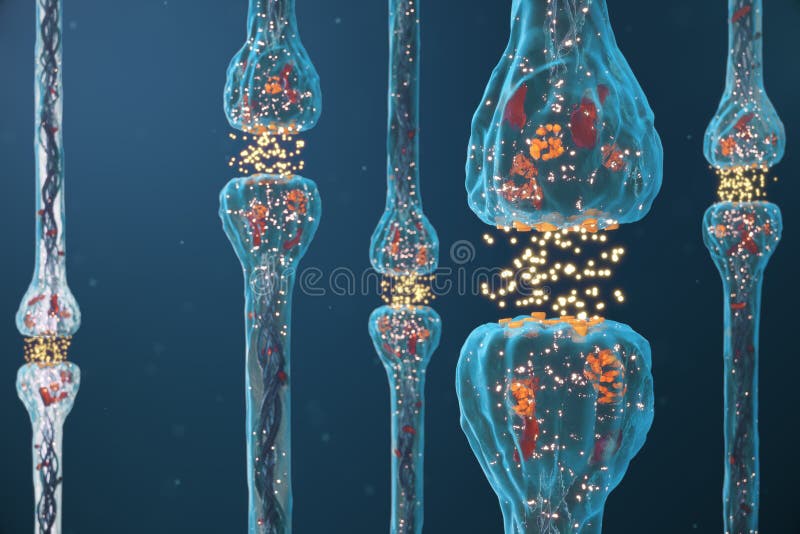 Synapse Stock Illustrations – 26,472 Synapse Stock Illustrations ...