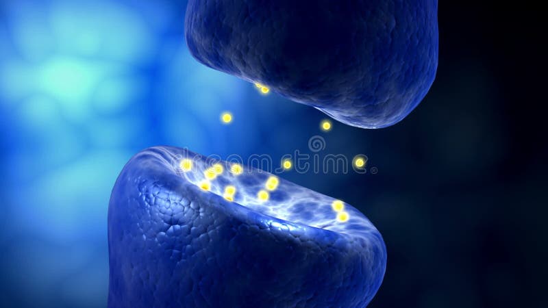 Synaptic Transmission with Impulse Stock Video - Video of medical ...
