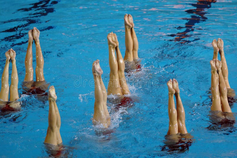 Synchro 018 stock image. Image of synchro, legs, competition - 2488353