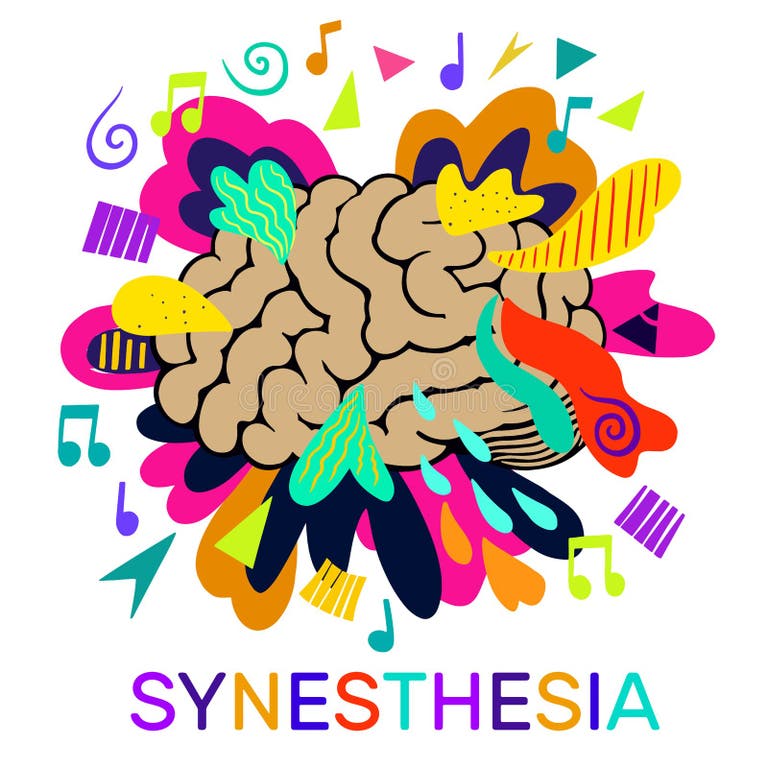 Synesthesia Brain Stock Illustrations – 23 Synesthesia Brain Stock ...
