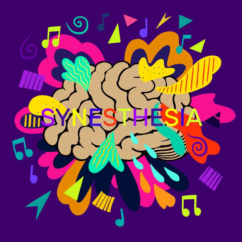 Synesthesia Brain Stock Illustrations – 23 Synesthesia Brain Stock ...