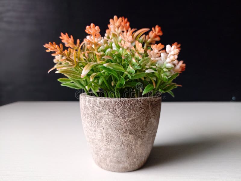 Synthetic Flower Appearance in a Real Flower Pot Stock Image - Image of ...