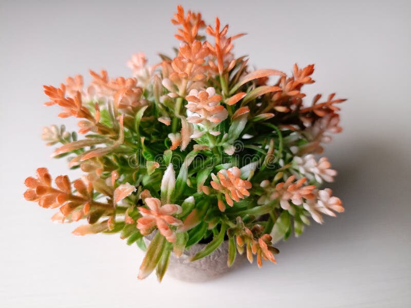 Synthetic Flower Appearance in a Real Flower Pot 3 Stock Image - Image ...