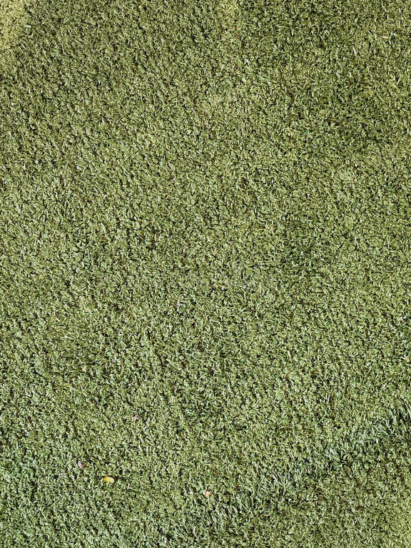 Synthetic Grass Floor Texture Stock Photo - Image of play ...