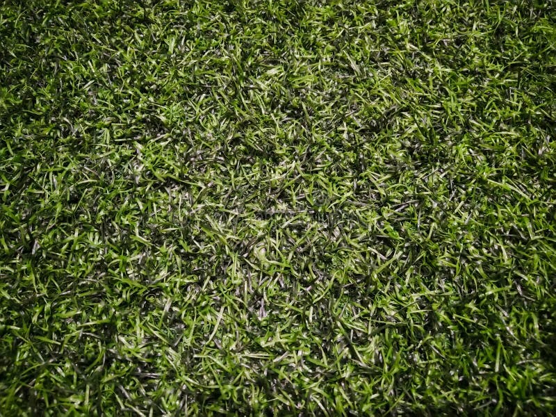 Synthetic Grass 2 stock photo. Image of turf, textured - 346993292