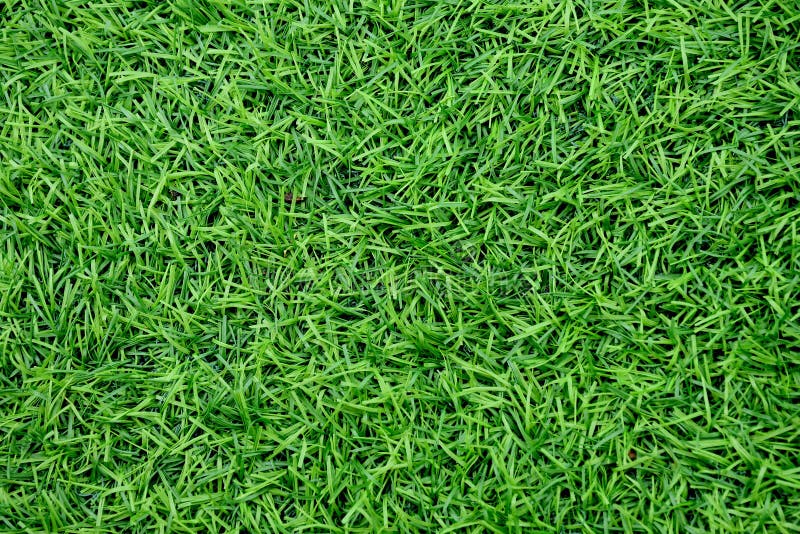 Synthetic Grass Texture and Background with Detail Stock Image - Image ...