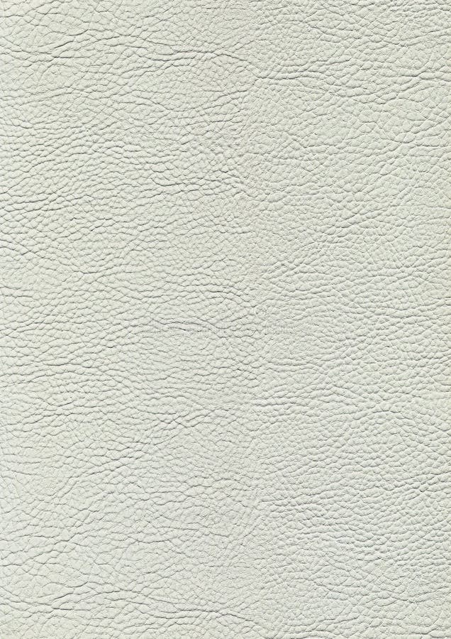 Leather Structure With A Fastener Stock Image - Image of computer ...