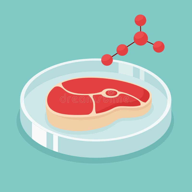 Synthetic Meat Concept. Farmed Beef Steak in the Laboratory. Vector ...