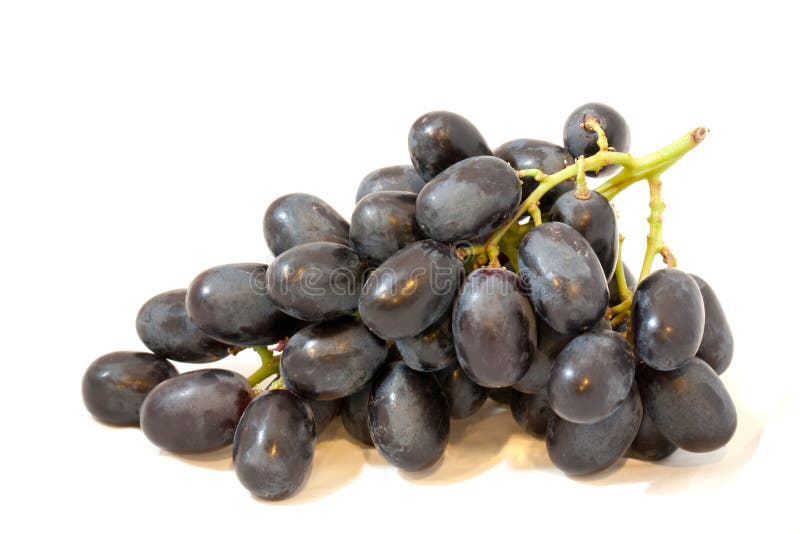 Syrah Grapes stock image. Image of ingredient, fruit - 15953325