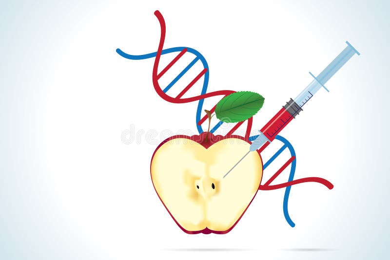 Syringe with Apple and Dna Molecule Stock Vector - Illustration of ...