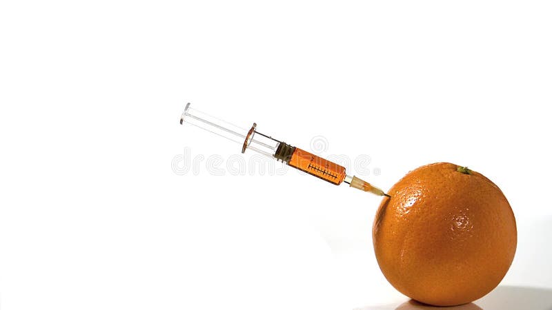 Syringe Injecting Treatment into Orange, Citrus Sinensis, Fruit Against ...