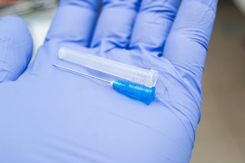 Veterinarian Put Needle with Syringe on Abdominal of the Cat To Remove ...