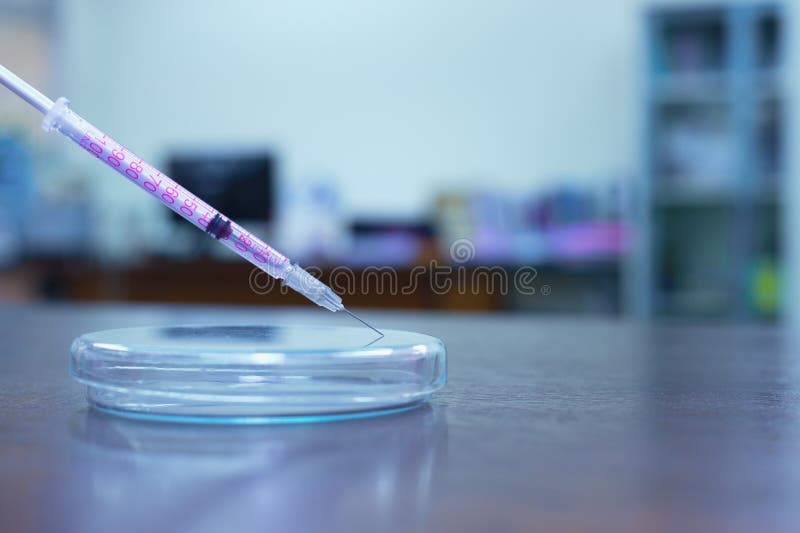 Syringe with Needle and Scientific Plate Stock Image - Image of science ...
