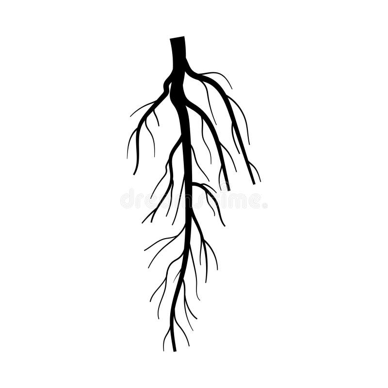 System Tree Root Cartoon Vector Illustration Stock Illustration ...