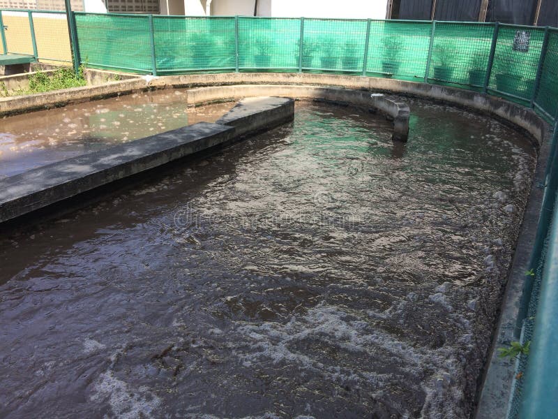 System Waste Water Treatment Pond. Stock Photo - Image of ... System Waste Water Treatment Pond. Stock Photo - Image of ...