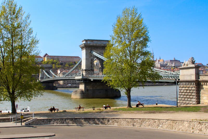 Széchenyi Chain Bridge Over the Danube in Budapest Stock Photo - Image ...