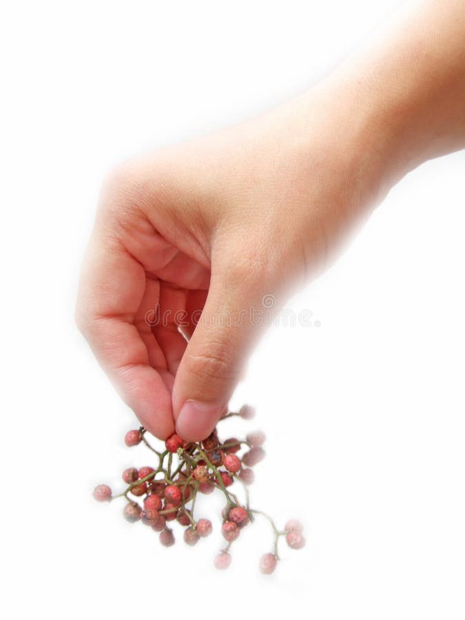 Szechuan Hot Pot stock image. Image of food, prawns, broth - 35621099