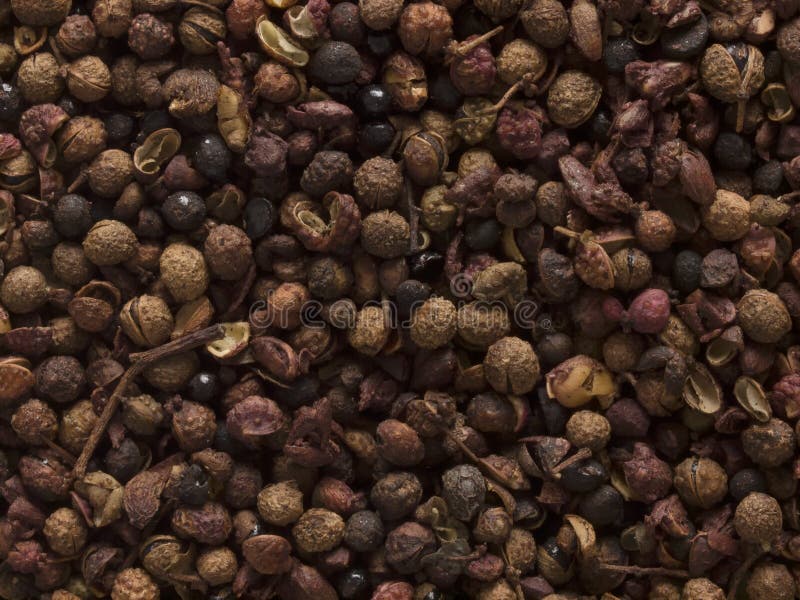 Szechuan Pfeffer In Der Hand Stockfoto - Bild von gewürze, achteckig ...