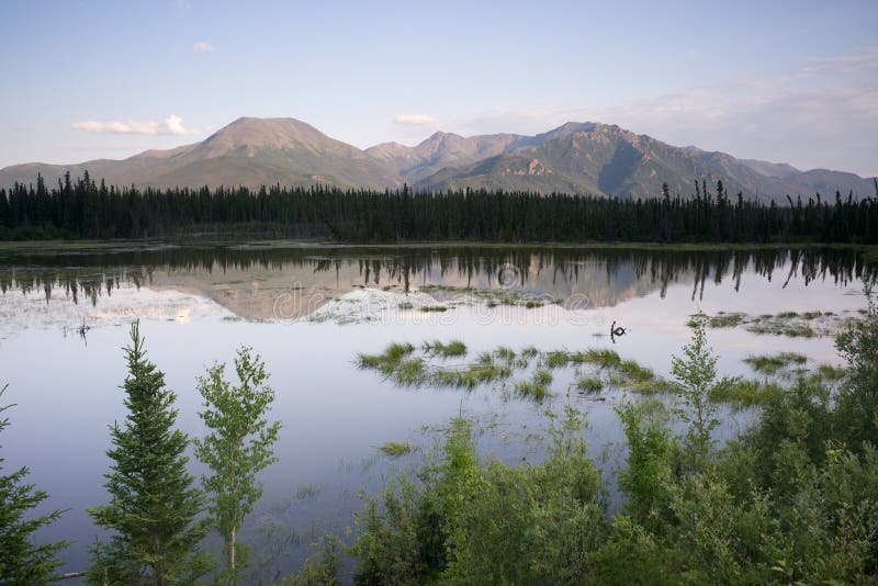 Szenisches Marsh Water Panoramic Mountain Landscape-Hinterland Alaska ...