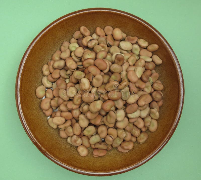 Fava Fasoli Vicia Faba Legumes Warzywa Obraz Stock - Obraz złożonej z ...
