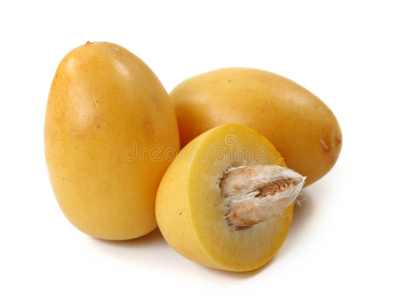 Frutas frescas da tâmara imagem de stock. Imagem de arabia - 6693995