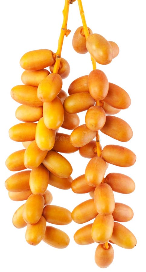 Tâmara fresca Fruites foto de stock. Imagem de palma - 21728716