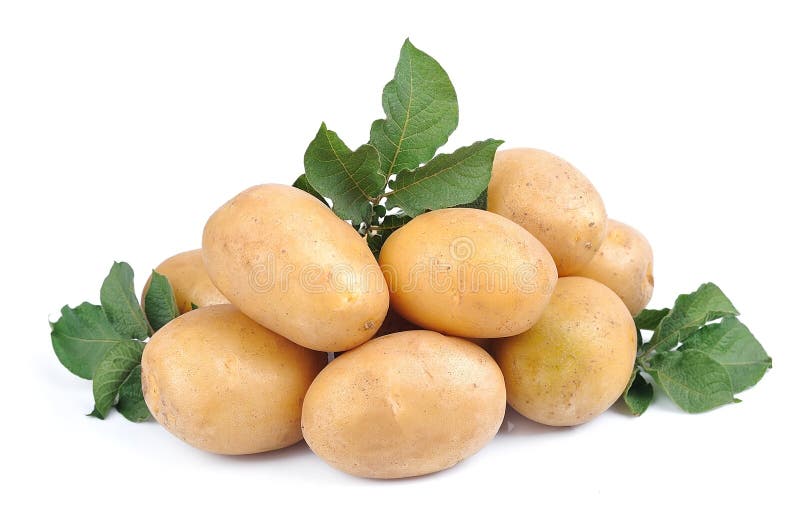 Potatis arkivfoto. Bild av sunt, vegetarisk, ingrediens - 25862602