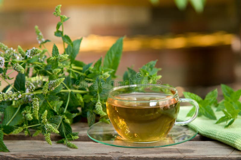 Té con la hierbabuena foto de archivo. Imagen de platillo - 32335422
