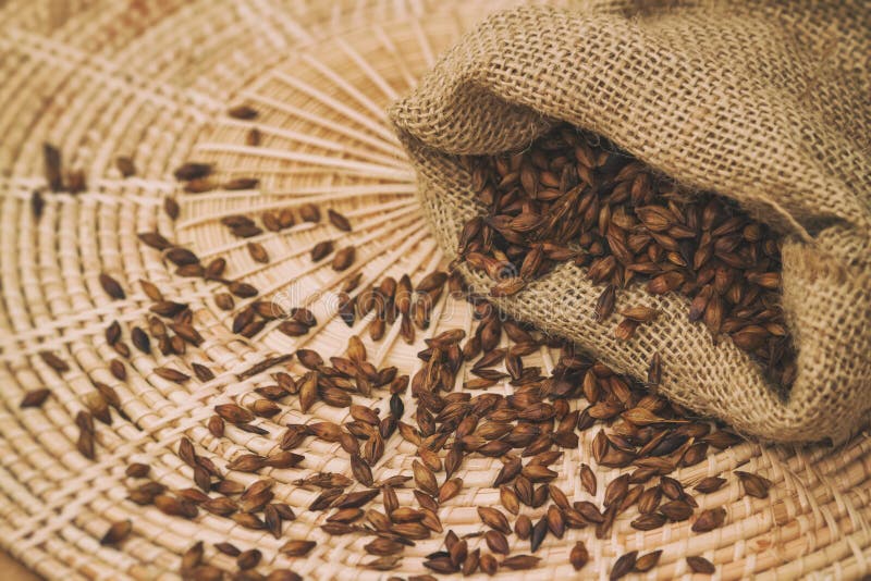 Cebada En Un Saco Ejido-pasa Sobre Fondo Blanco. Cebada En Un Saco De ...