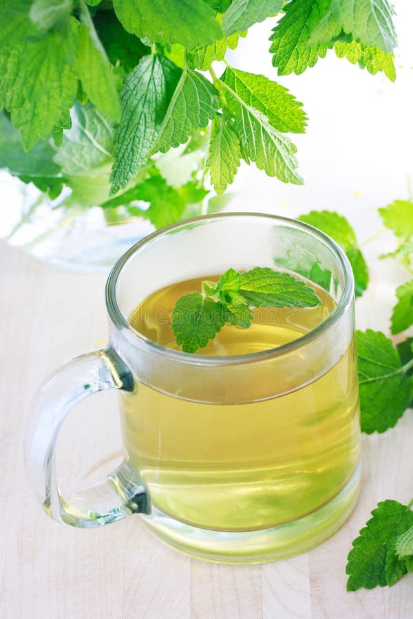 Té de la menta foto de archivo. Imagen de taza, madera - 25216886