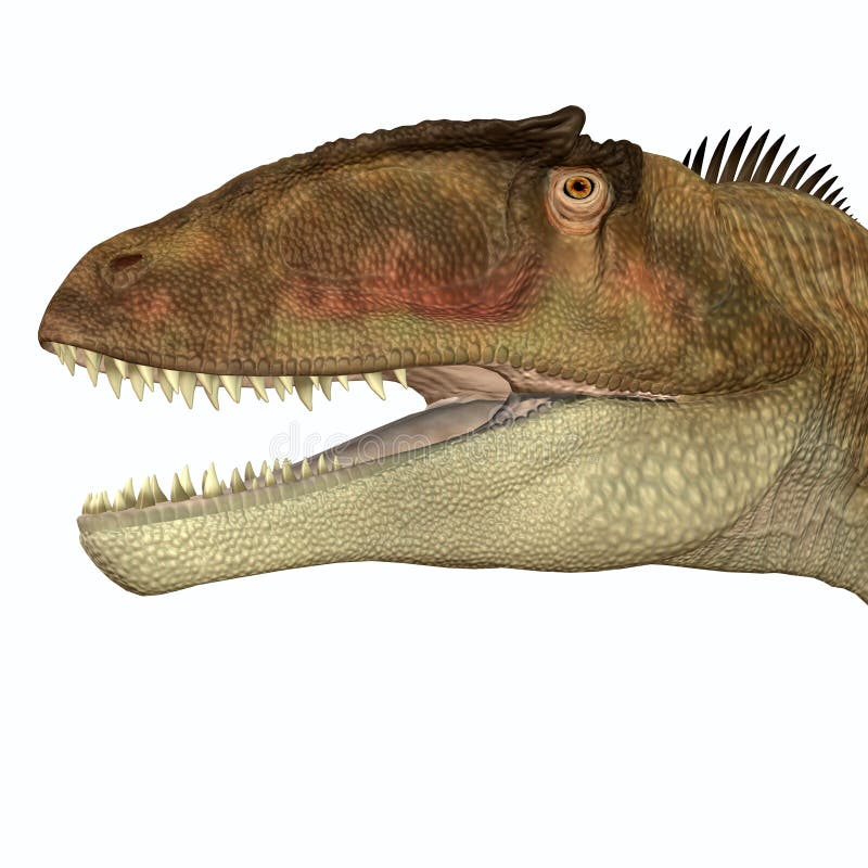 Carnivore De Carcharodontosaurus Illustration Stock - Illustration du ...