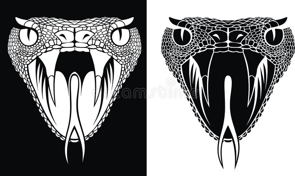 Tête de serpent illustration de vecteur. Illustration du rattlesnake ...